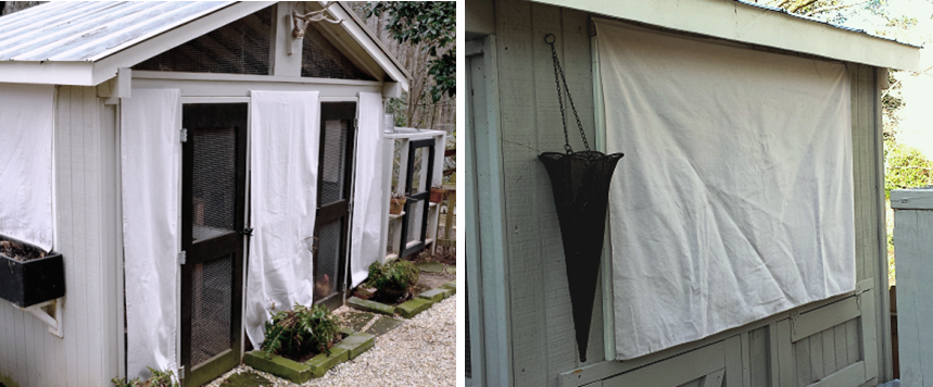 Our Chicken Coop Design: Front Elevation - Redeem Your Ground