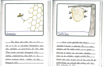 A Bee's Life - by "Littlest One" Scott ... A Great Primer for the ...