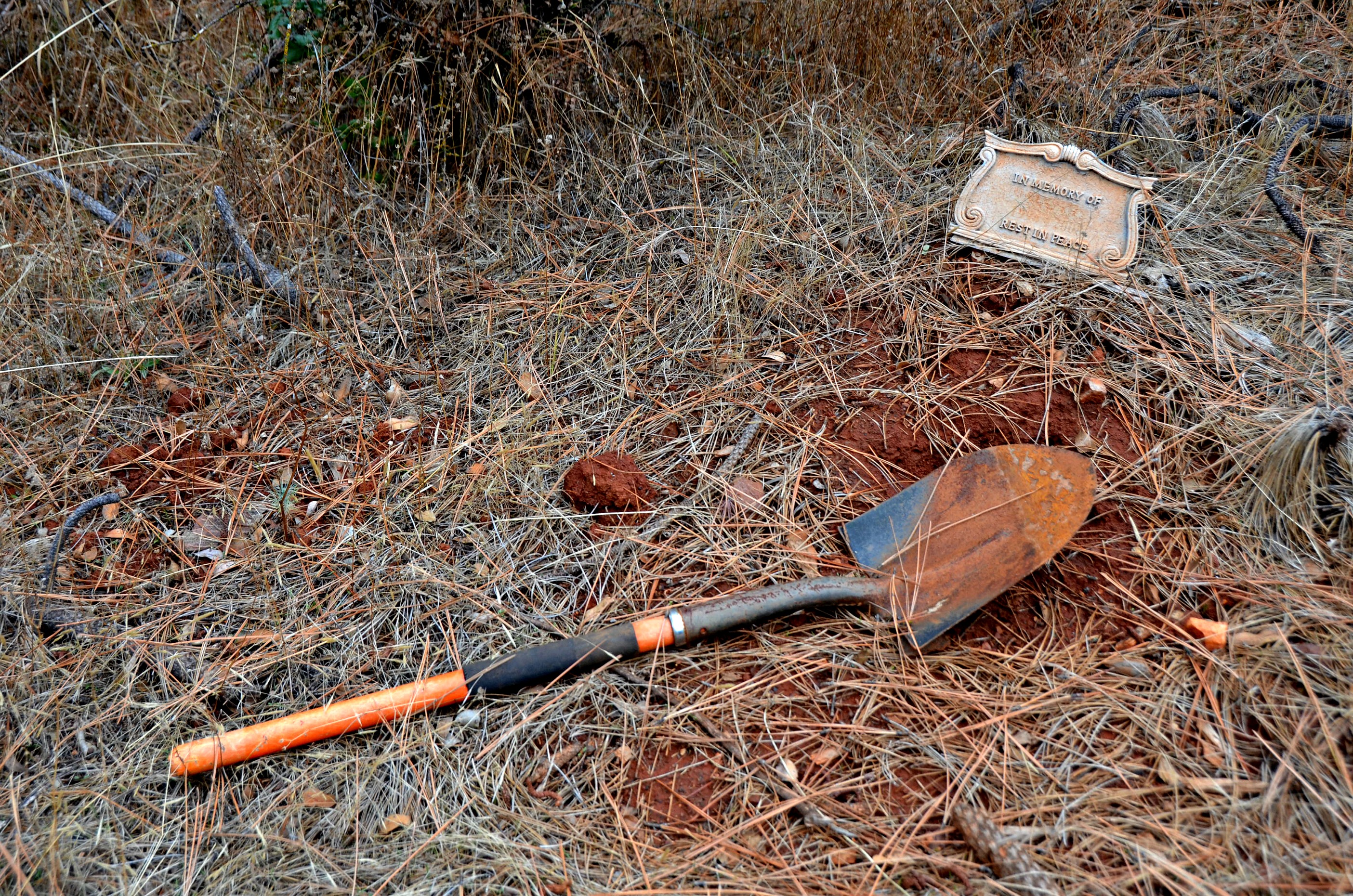 Clay Soil: How to Work with It & My Top 5 Plants - Redeem Your Ground